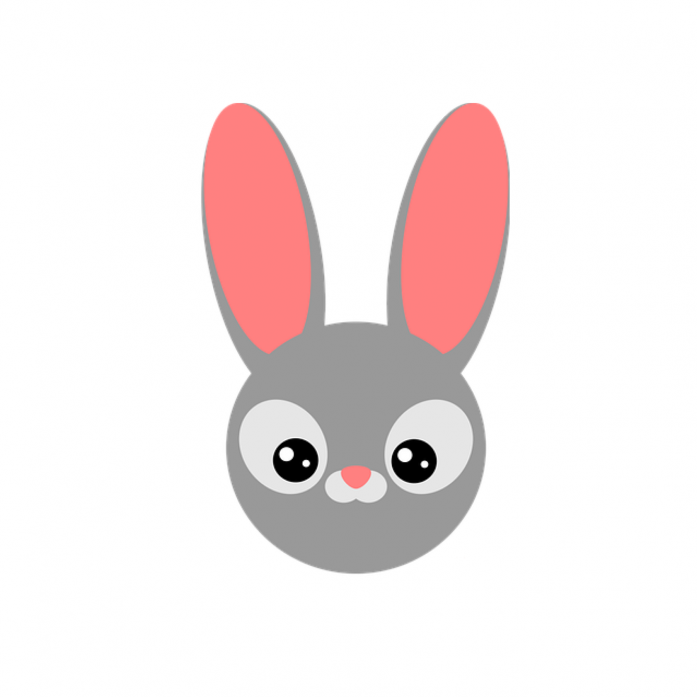 Atskaite 24.10.2023 - ziedot.lv