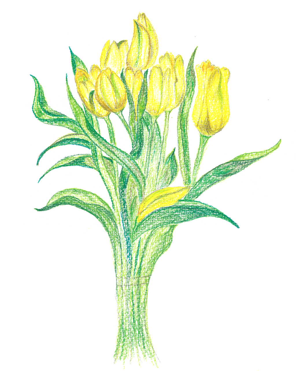 Palīdzība Sandrai Graudiņai « Completed projects - ziedot.lv