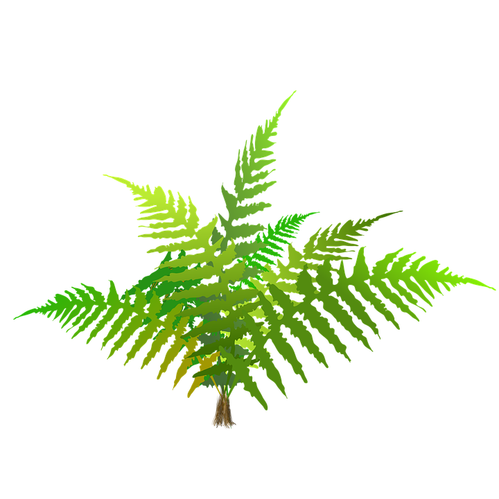 Palīdzība Modrim Tukišam « Completed projects - ziedot.lv