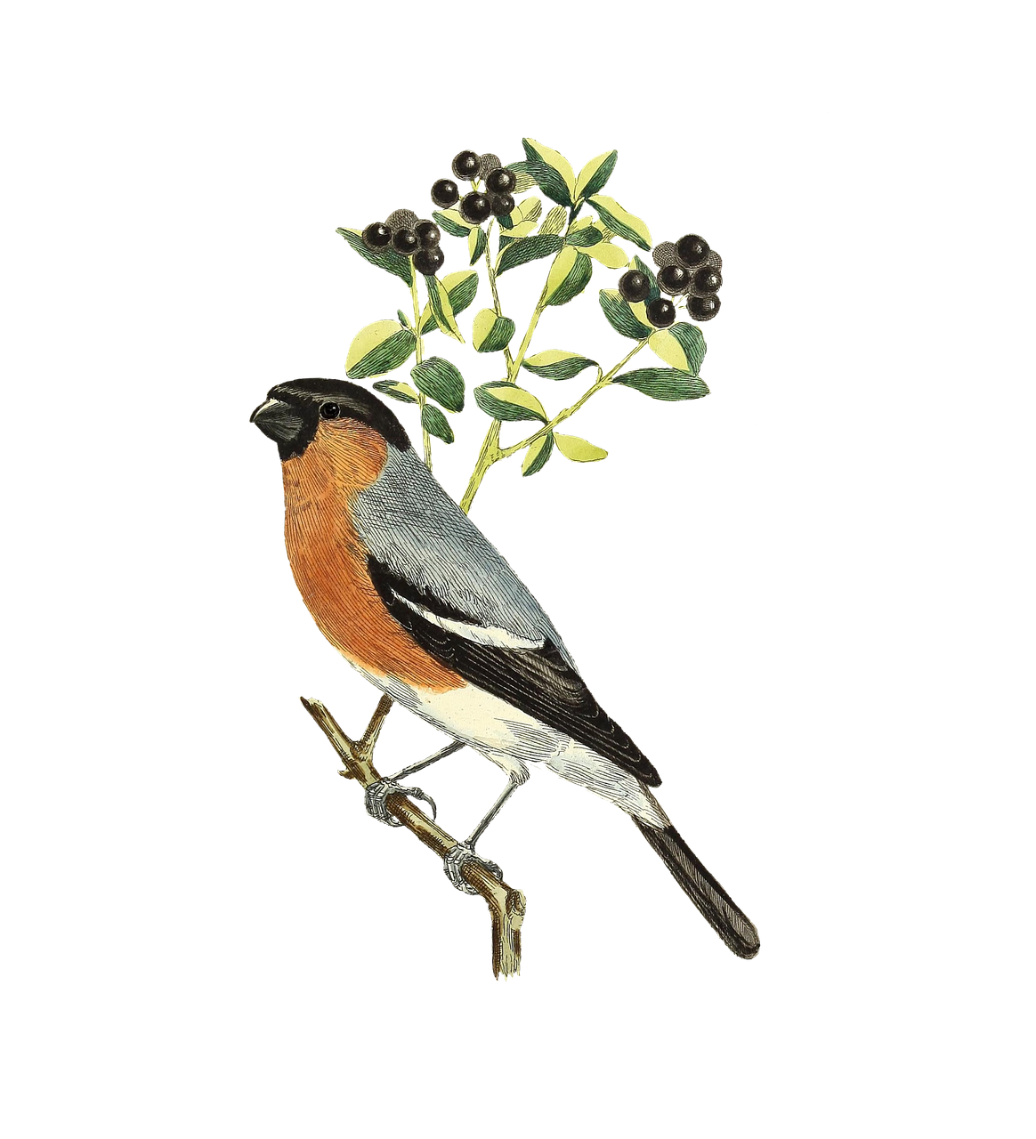 Palīdzība Mārim Arolam « Completed projects - ziedot.lv