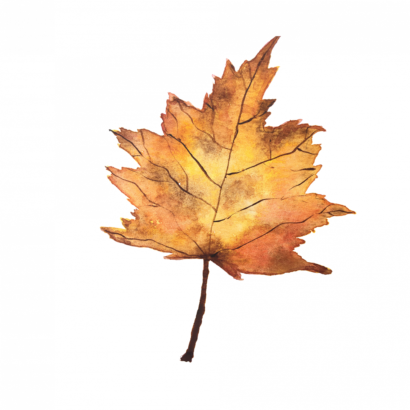 Palīdzība Igoram Čerņevskim « Completed projects - ziedot.lv