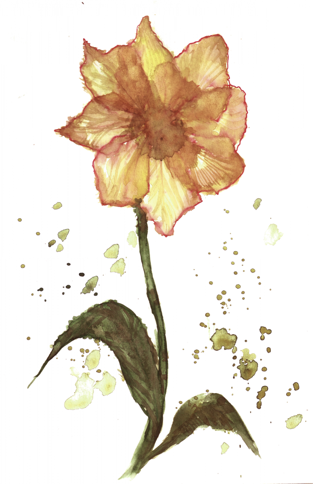 Palīdzība Olgai Mockus « Completed projects - ziedot.lv