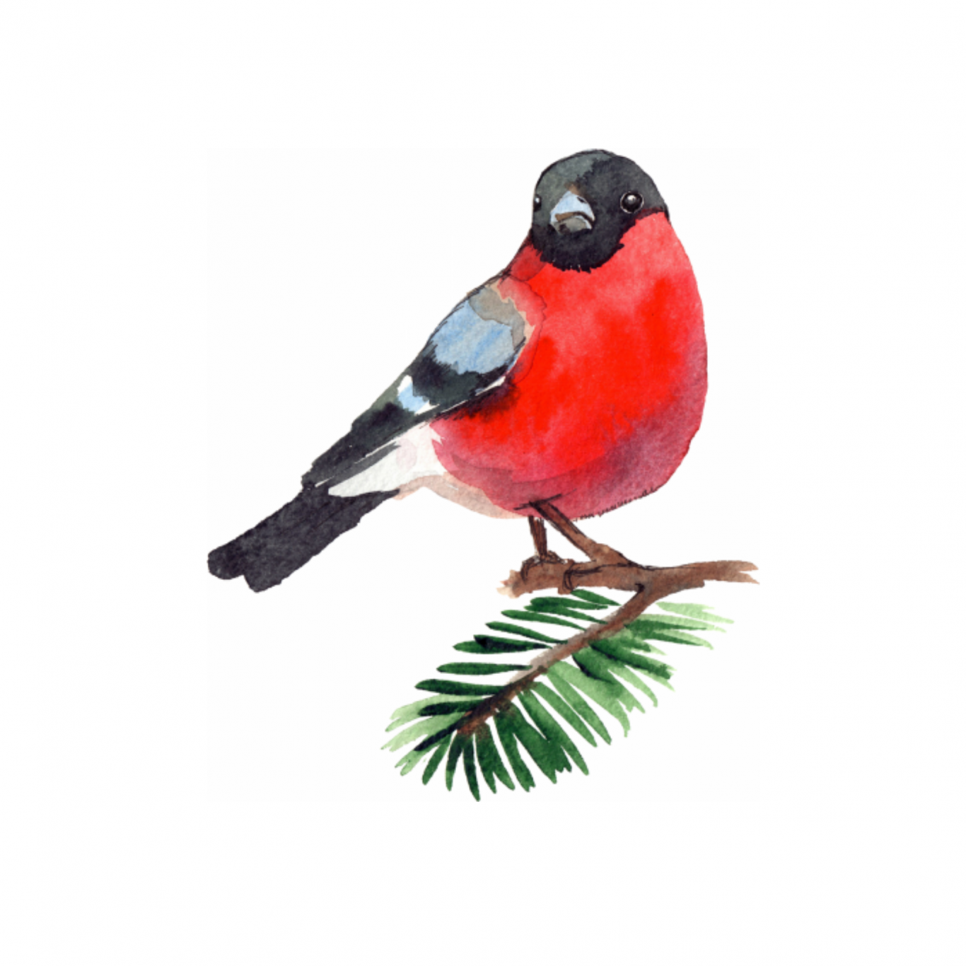 Palīdzība Oliveram Armanam « Completed projects - ziedot.lv