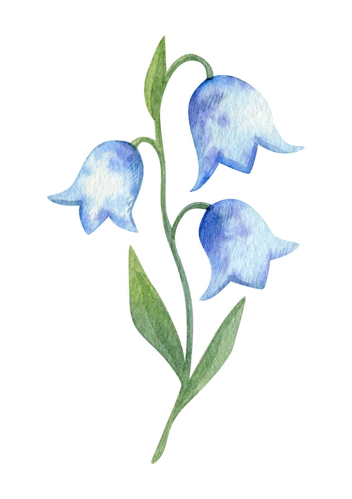 Atskaite 05.05.2025 - ziedot.lv