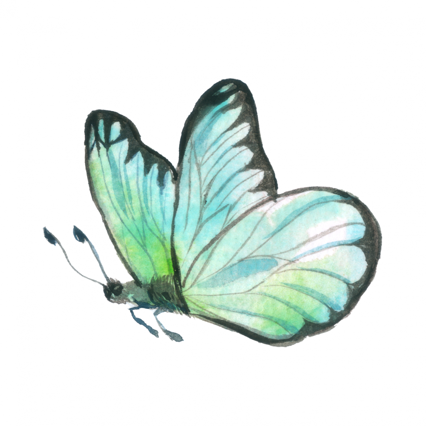 Palīdzība Reinim Klintam « Completed projects - ziedot.lv