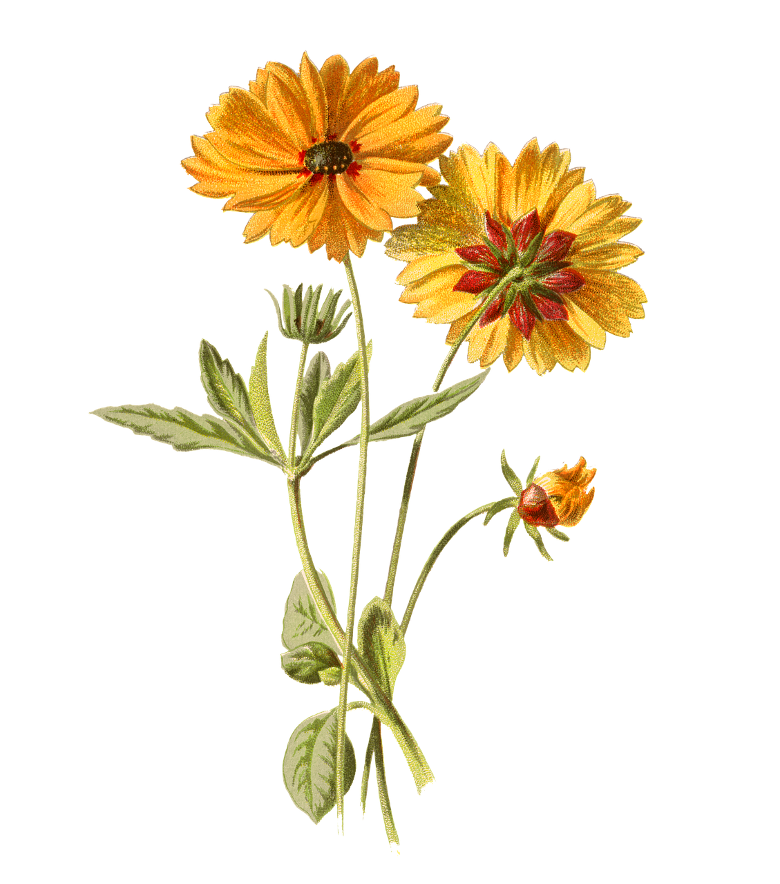 Atskaite 02.06.2025 - ziedot.lv