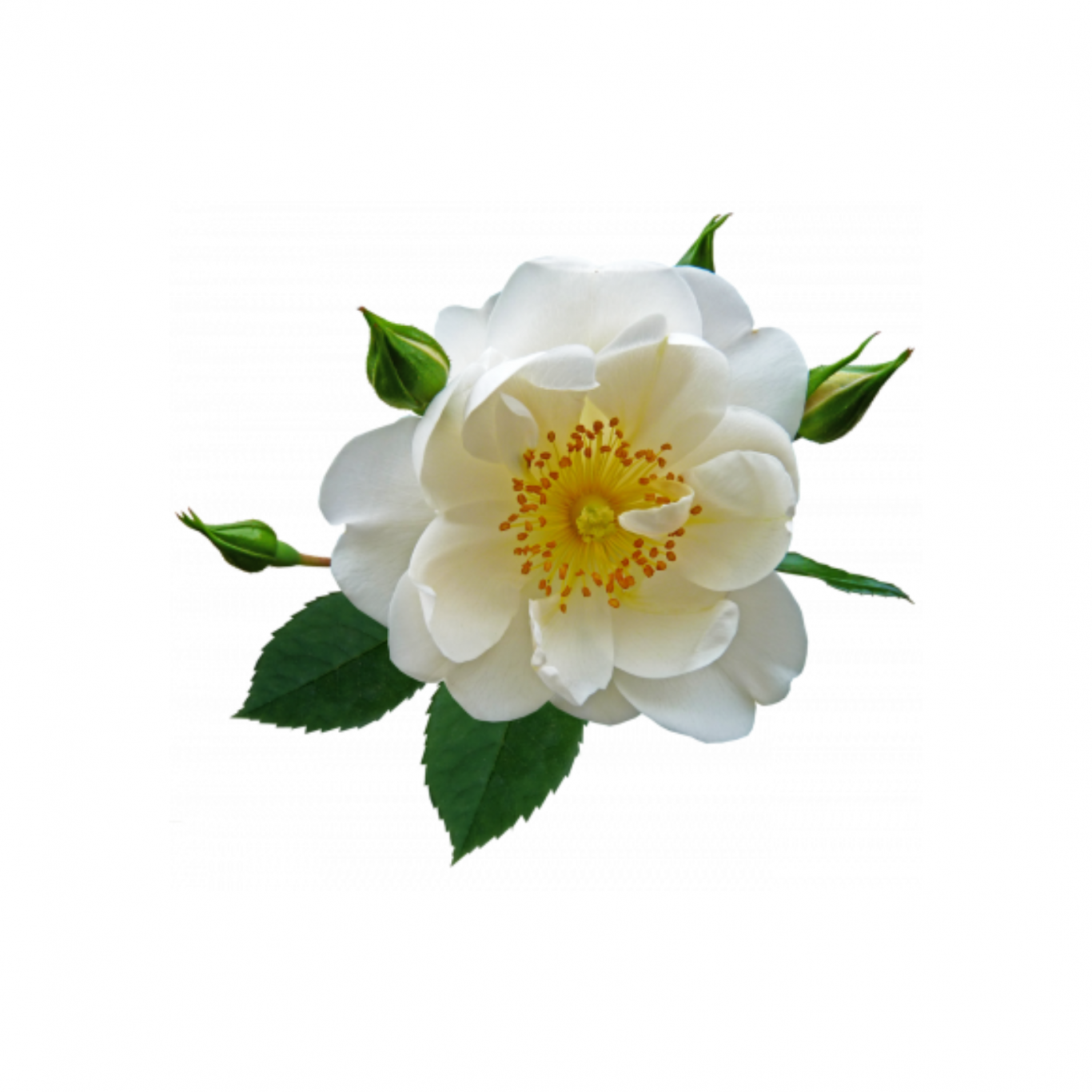 Palīdzība Initai Lūkai « Completed projects - ziedot.lv