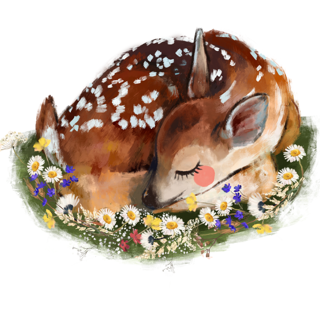 Palīdzība Miai Annai Koļesovai « Completed projects - ziedot.lv