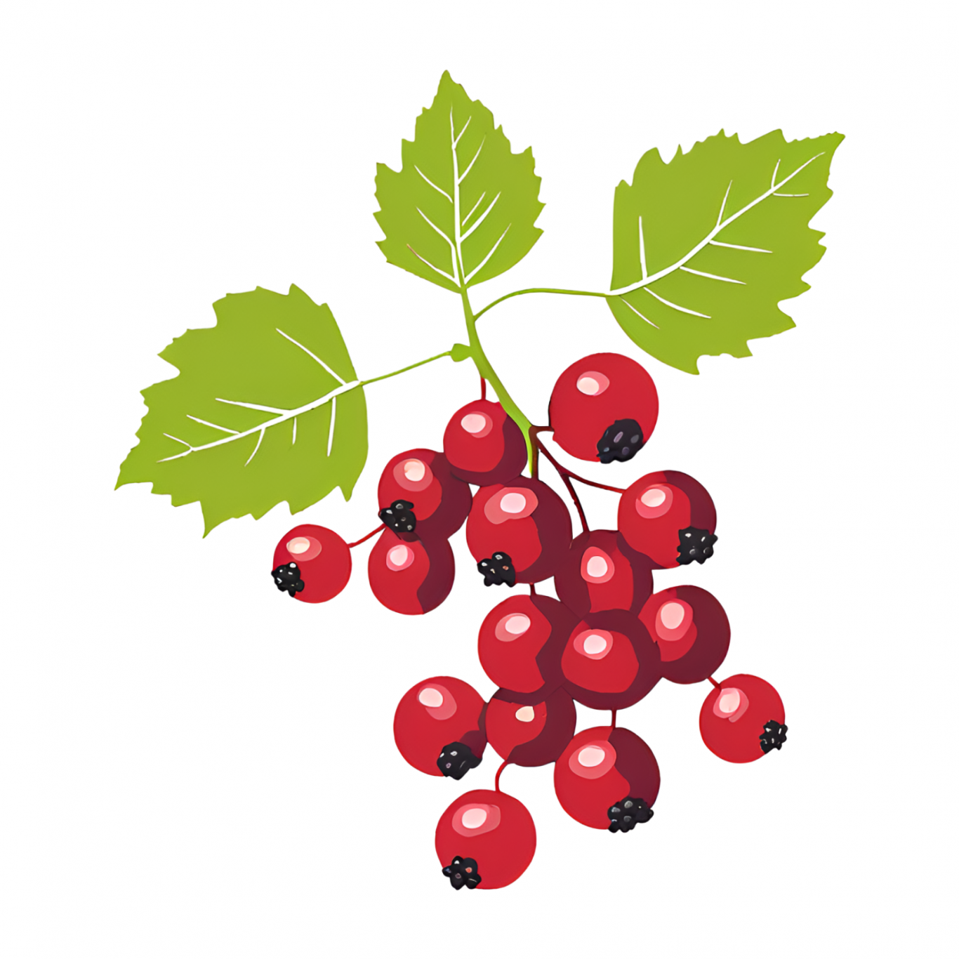 Palīdzība Gabrielam Mutoram - ziedot.lv