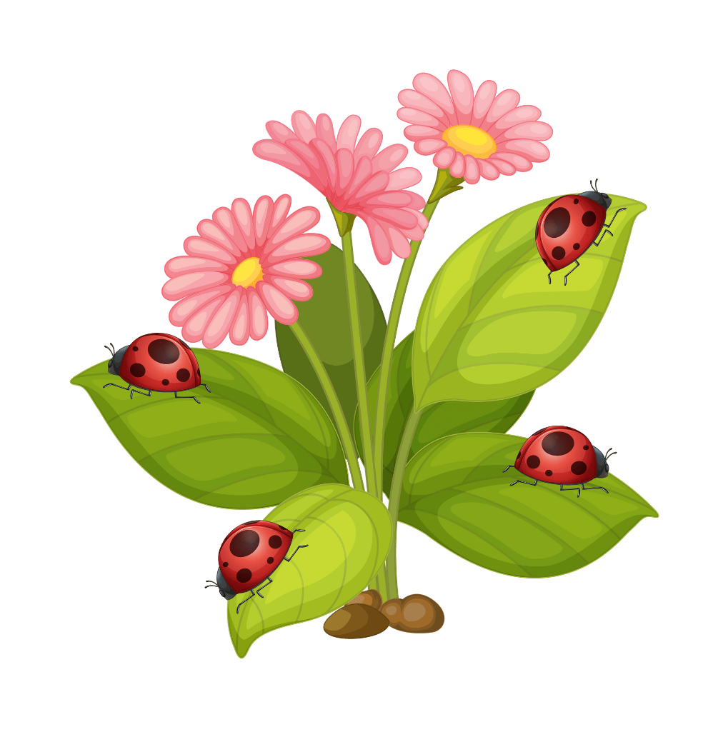 Palīdzība Marijai Bramanei « Completed projects - ziedot.lv