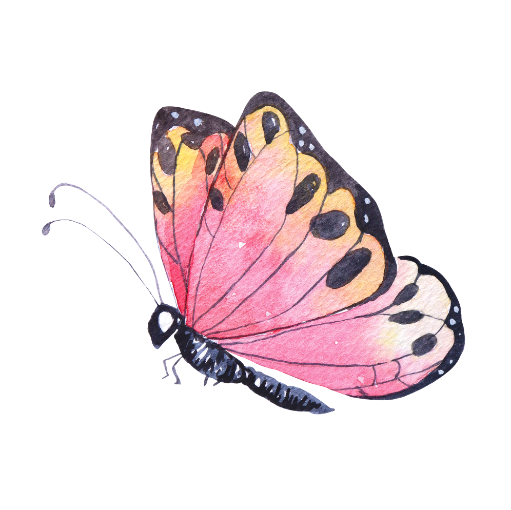 Palīdzība Amēlijai Vasiļjevai - ziedot.lv