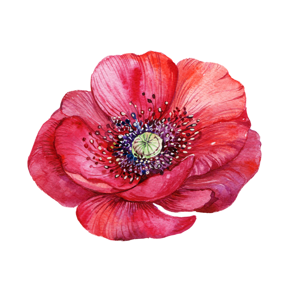 Atskaite 03.02.2025 - ziedot.lv