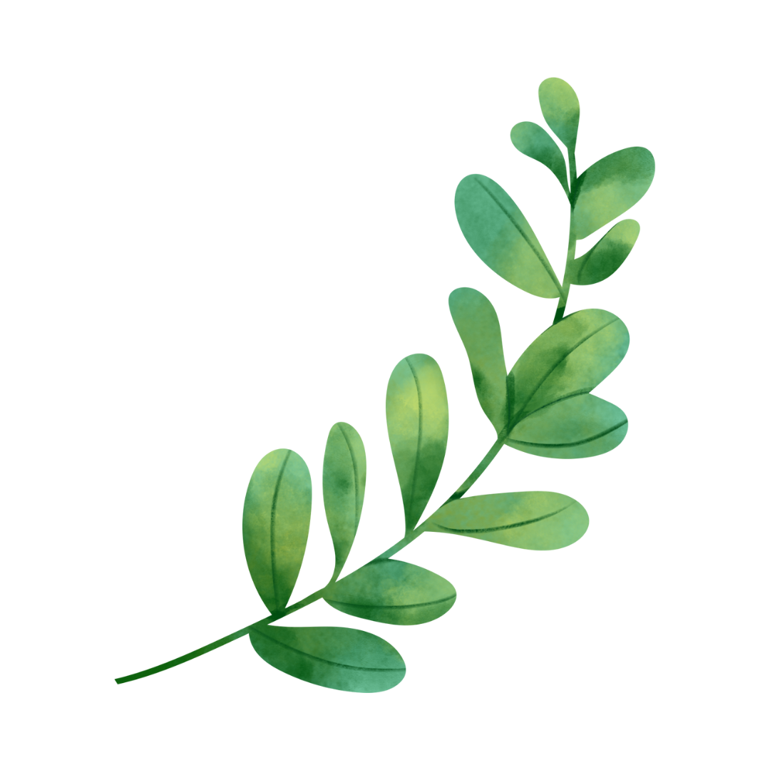 Atkārtota palīdzība Dmitrijam Ivanovam - ziedot.lv