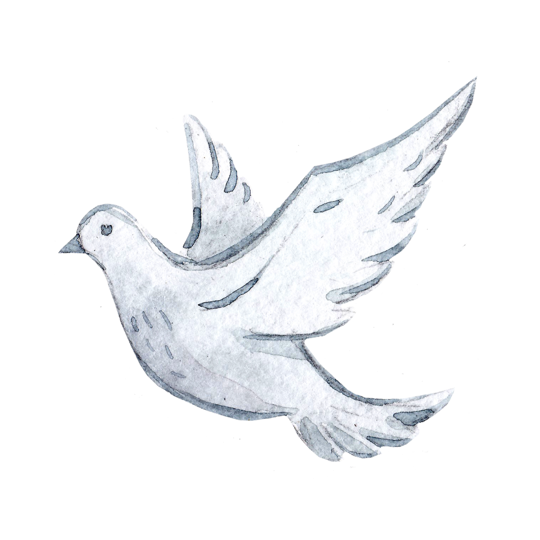 Palīdzība Dacei Balodei - ziedot.lv