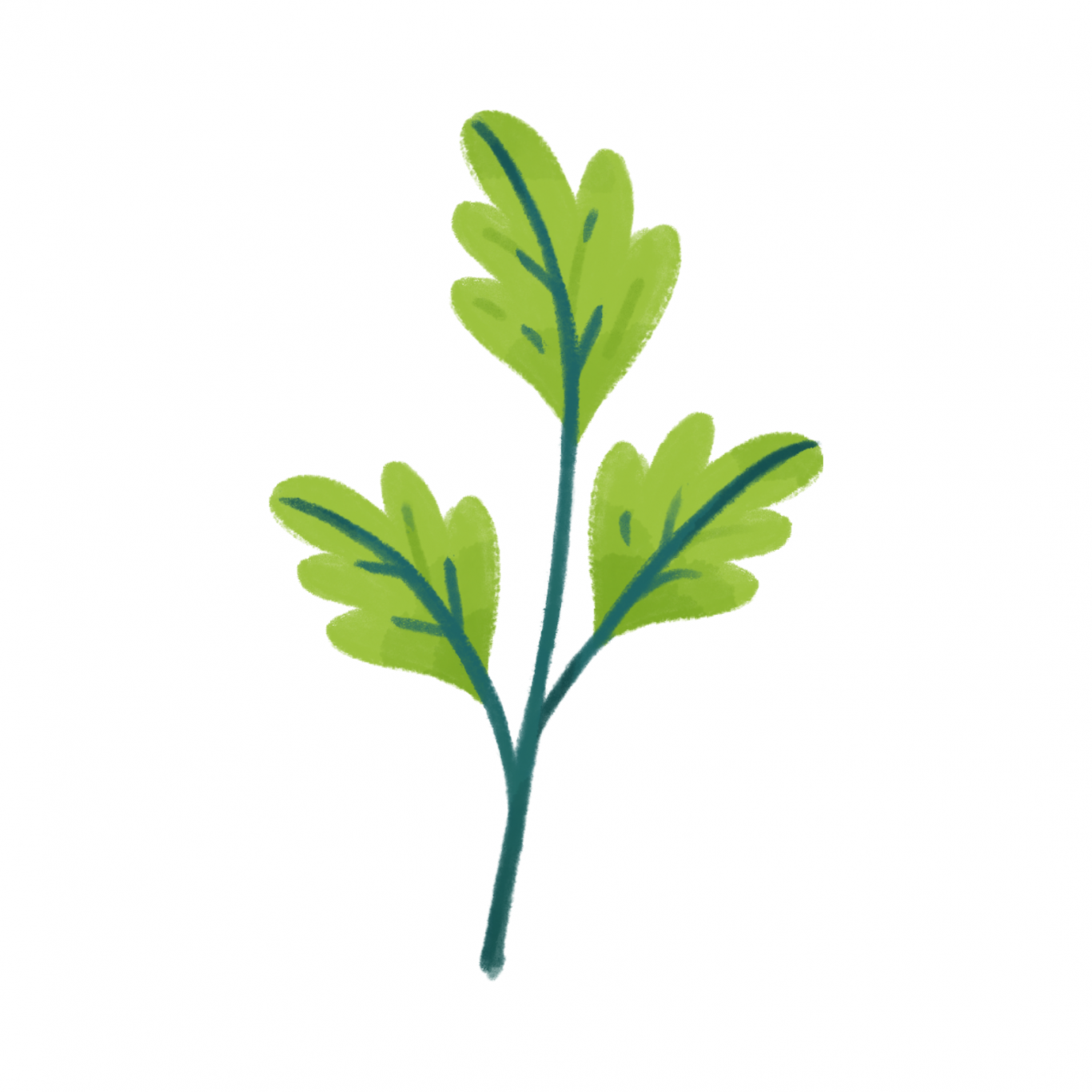 Palīdzība Ruslanam Jakimčukam - ziedot.lv