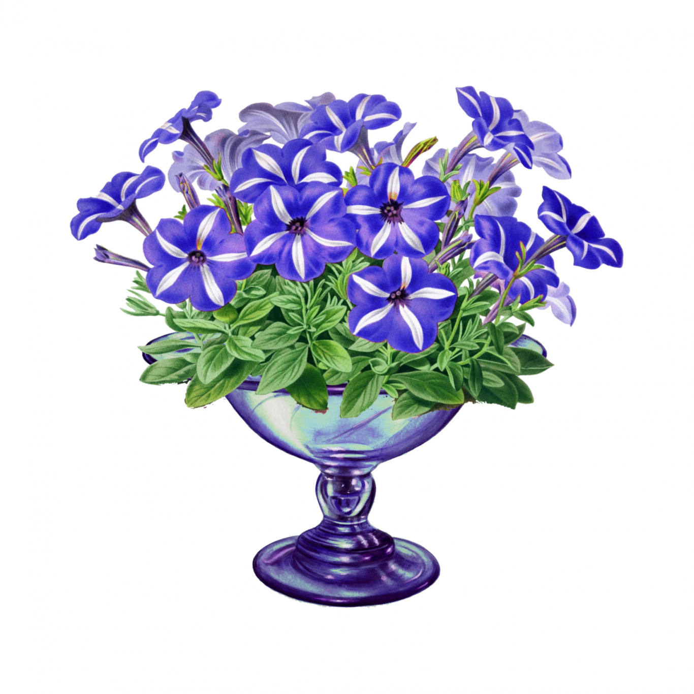 Palīdzība Marinai Tretjakai « Completed projects - ziedot.lv