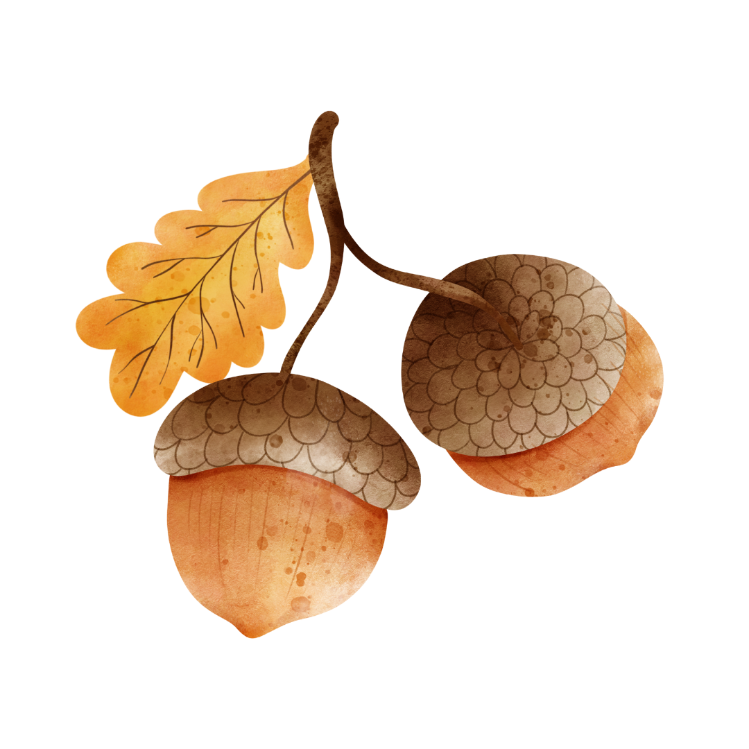 Palīdzība Rafaelam Aboļevičam - ziedot.lv