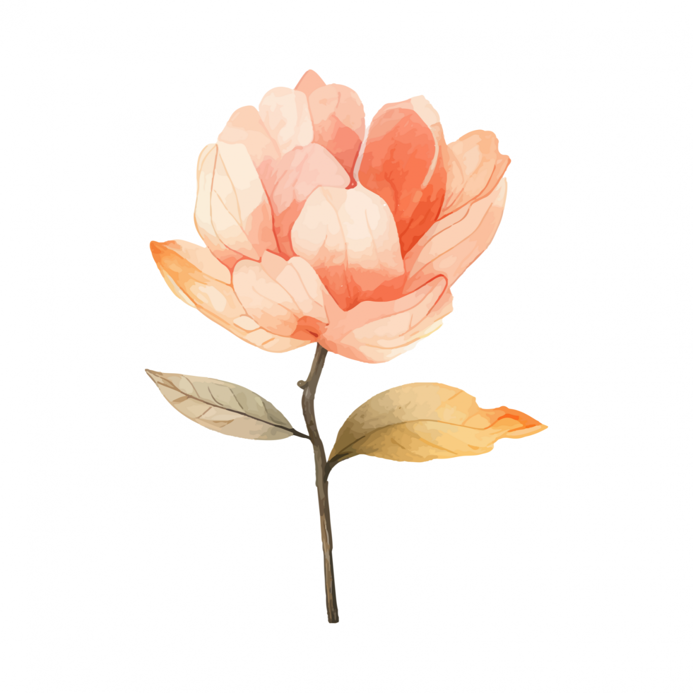 Palīdzība Sarmītei Gobai - ziedot.lv