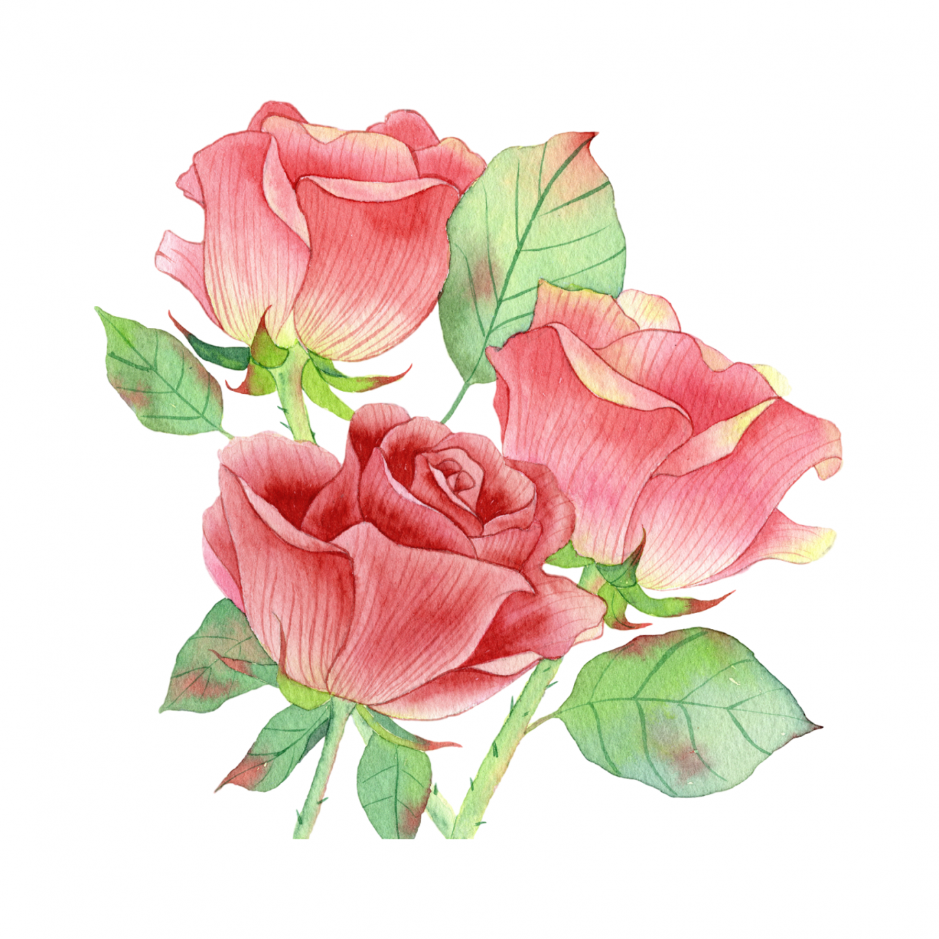 Atkārtota palīdzība Jekaterinai Ļebedevai « Charity Projects - ziedot.lv